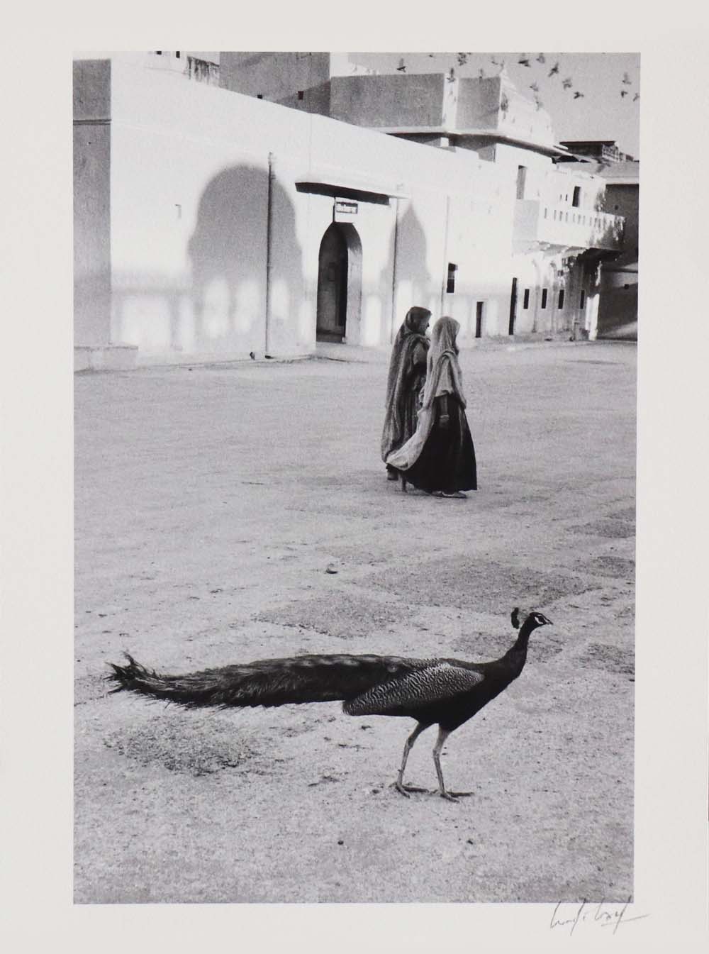 Marc Riboud | The Peacock, Jaipur, India