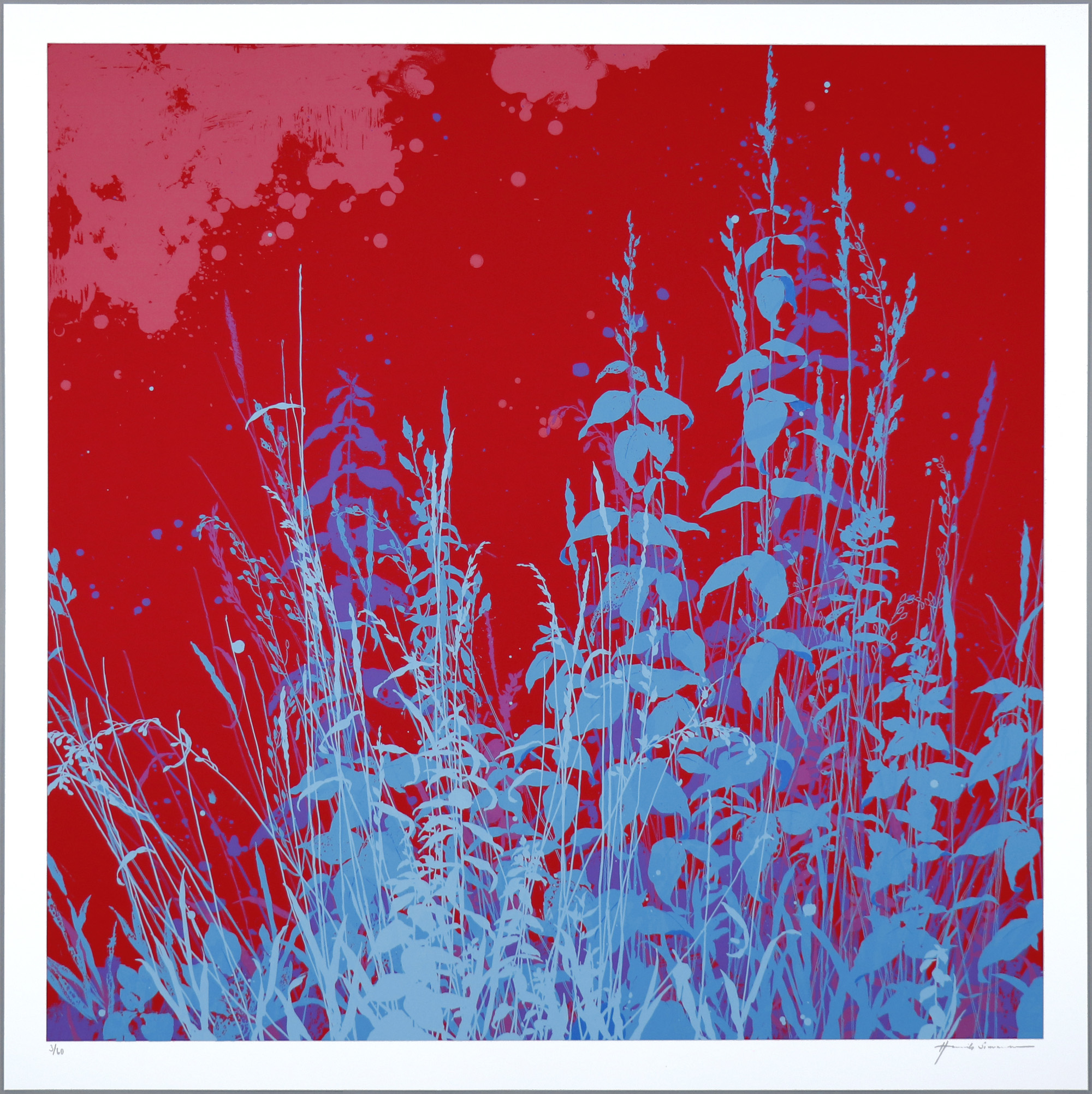 HENRIK SIMONSEN | ‘Blue Grass’ | Eyestorm Magazine Article